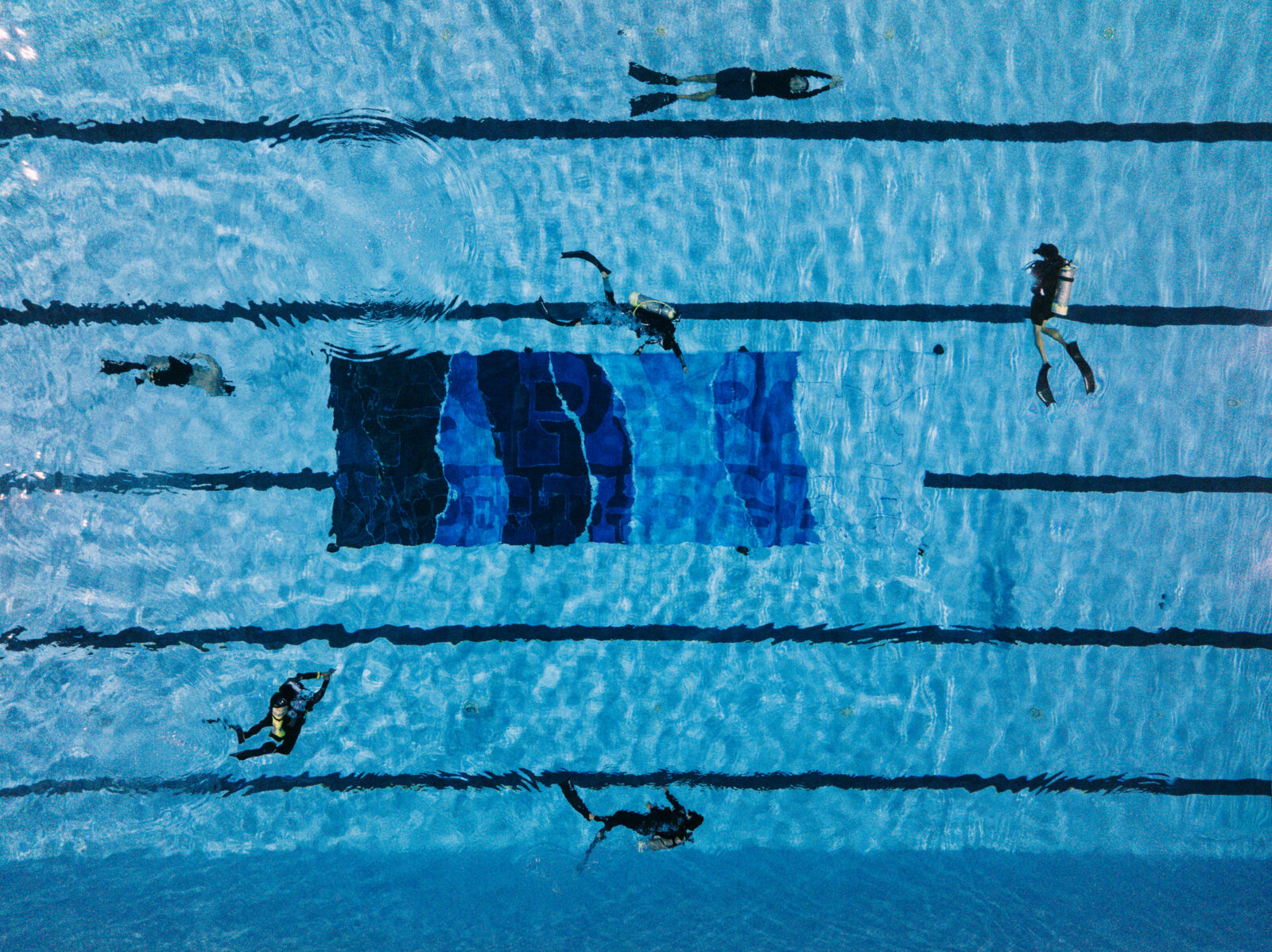 LAZYFISH 2.0 全系列碳纖維蛙鞋體驗 - LAZYFISH